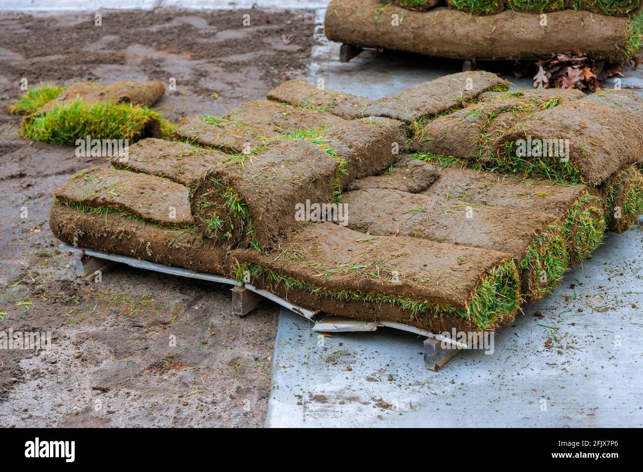 Stack of turf grass rolls a lawn fresh grass to decorate landscape ...