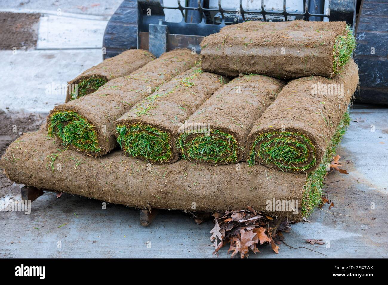 Pallet with stacked rolls of lawn in the for new lawn, grass ...