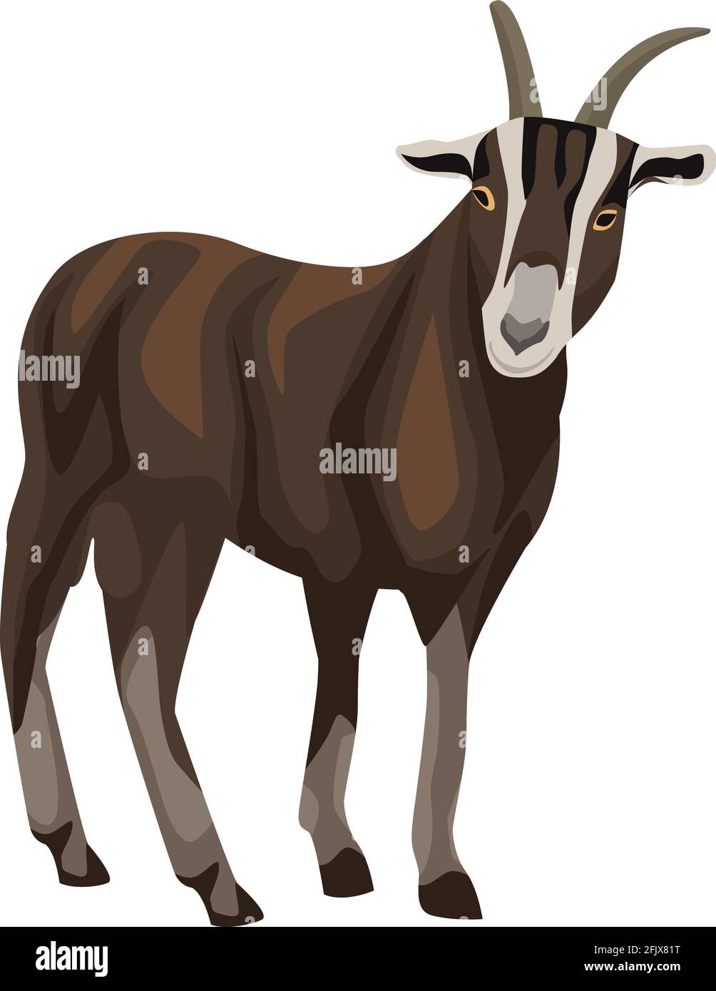 goat farm animal Stock Vector Image & Art - Alamy