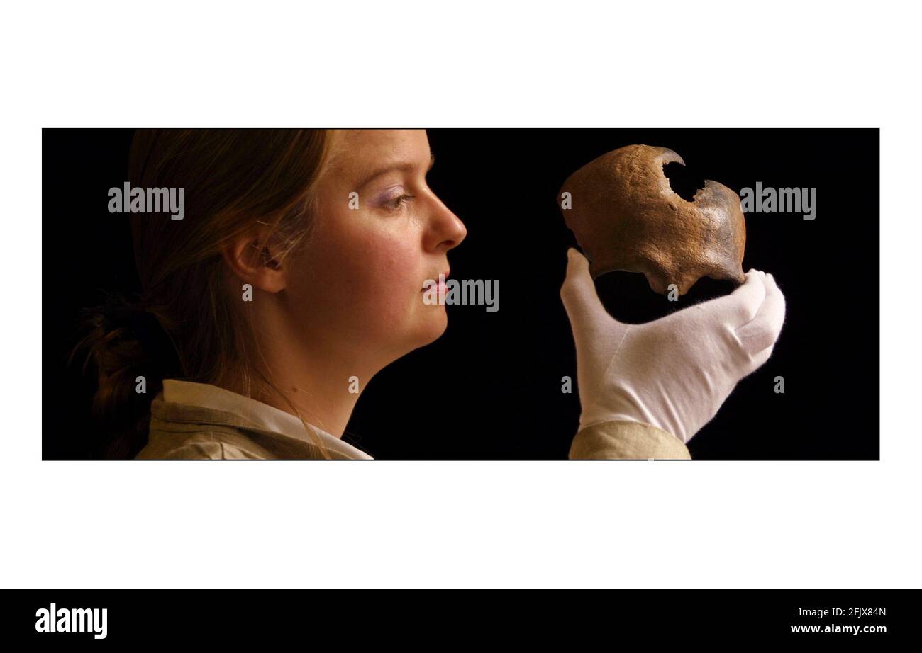 English major Cut Out Stock Images & Pictures - Alamy