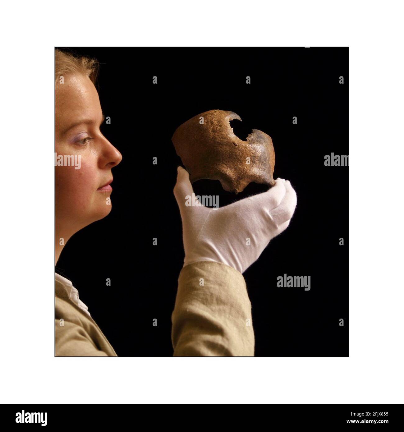 A Bronze Age skull retrieved from the banks of the river Thames at ...