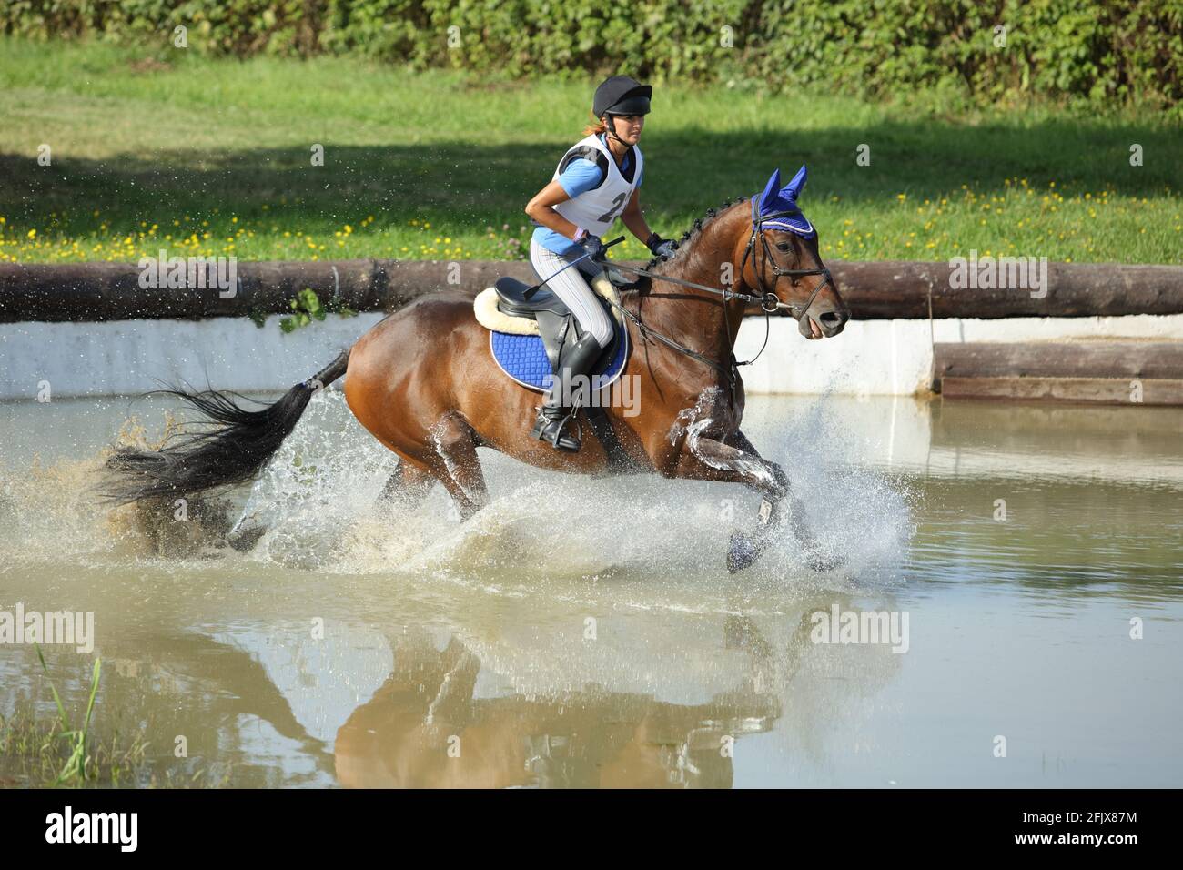 Sport show jumping water jump action hi-res stock photography and ...