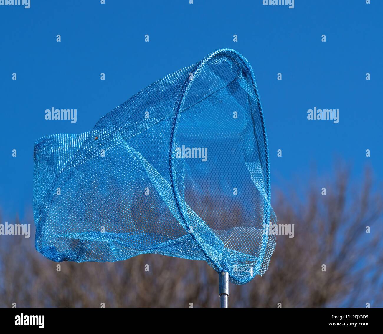 Butterfly net over blue sky Stock Photo - Alamy