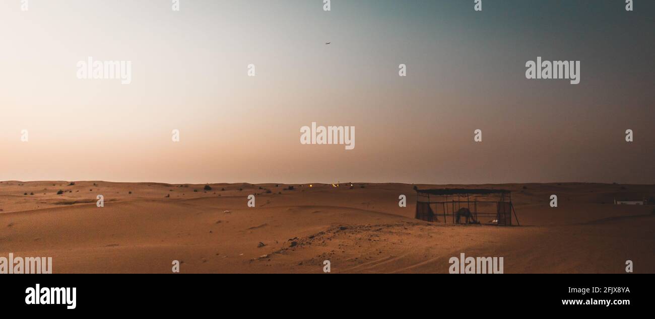 Eerie scenery of a desert at dawn Stock Photo - Alamy