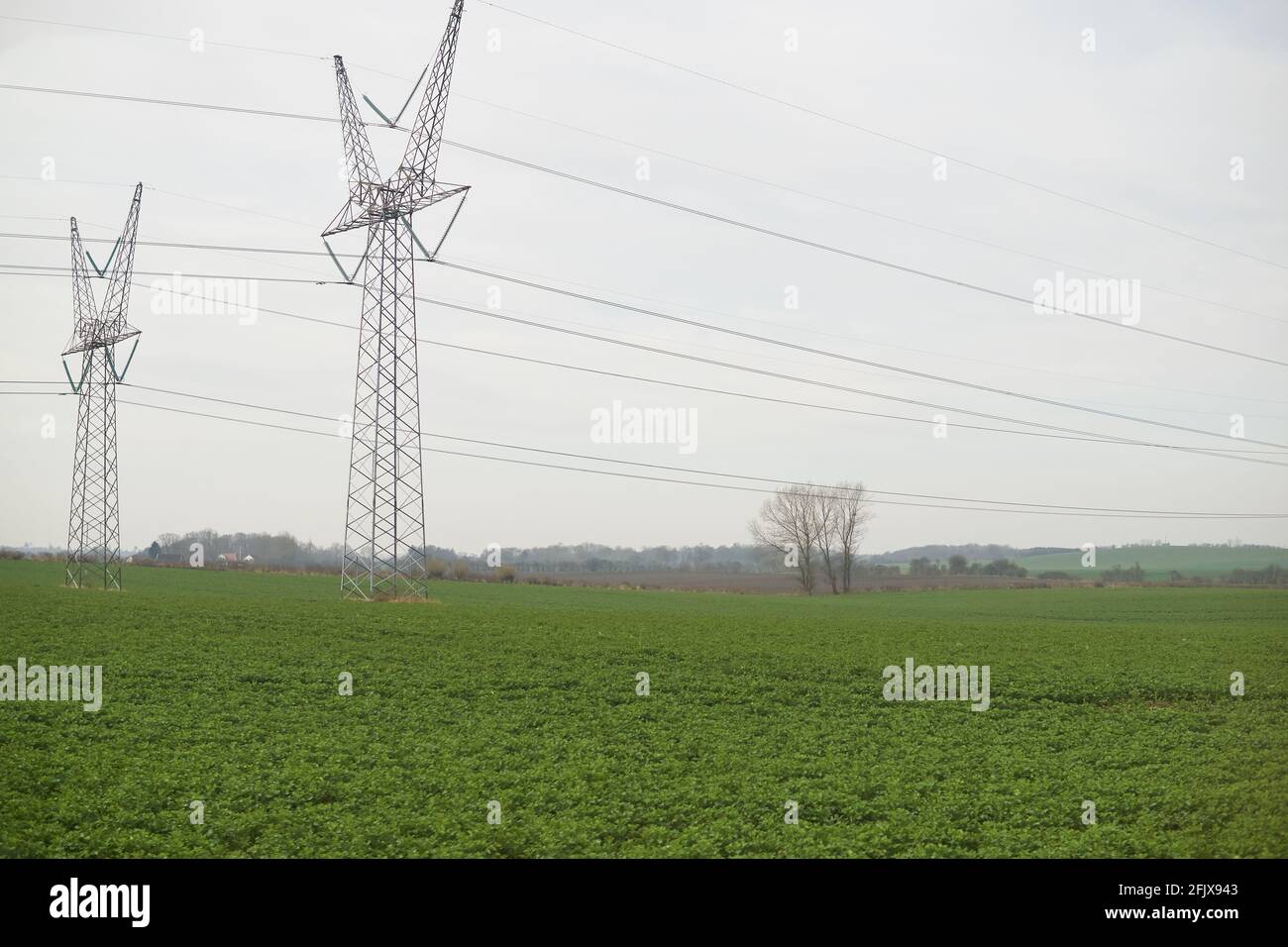 Large meadow with power lines in the countryside of Copenhagen Stock ...