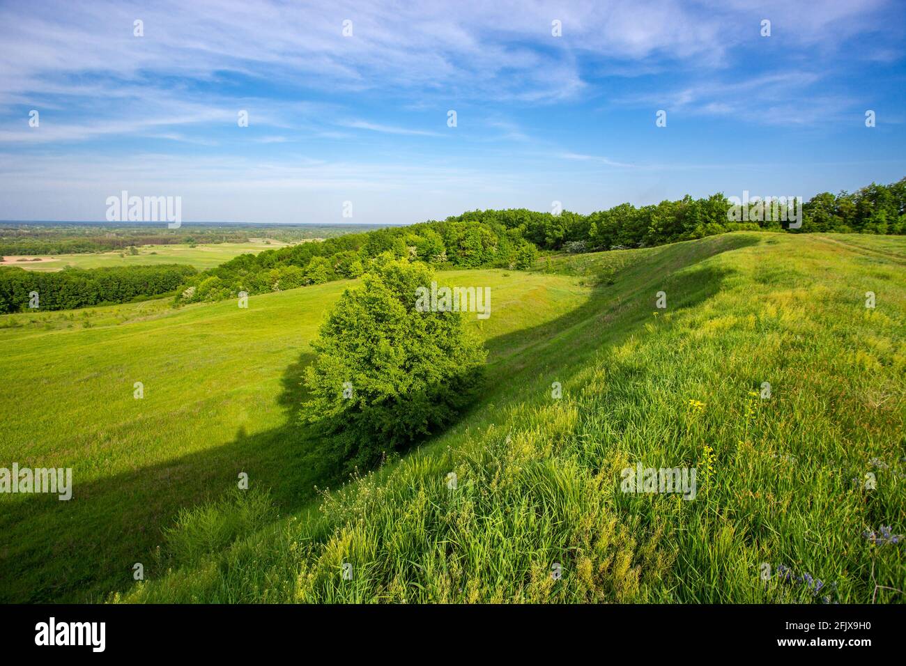 Green lawn on slope hi-res stock photography and images - Alamy