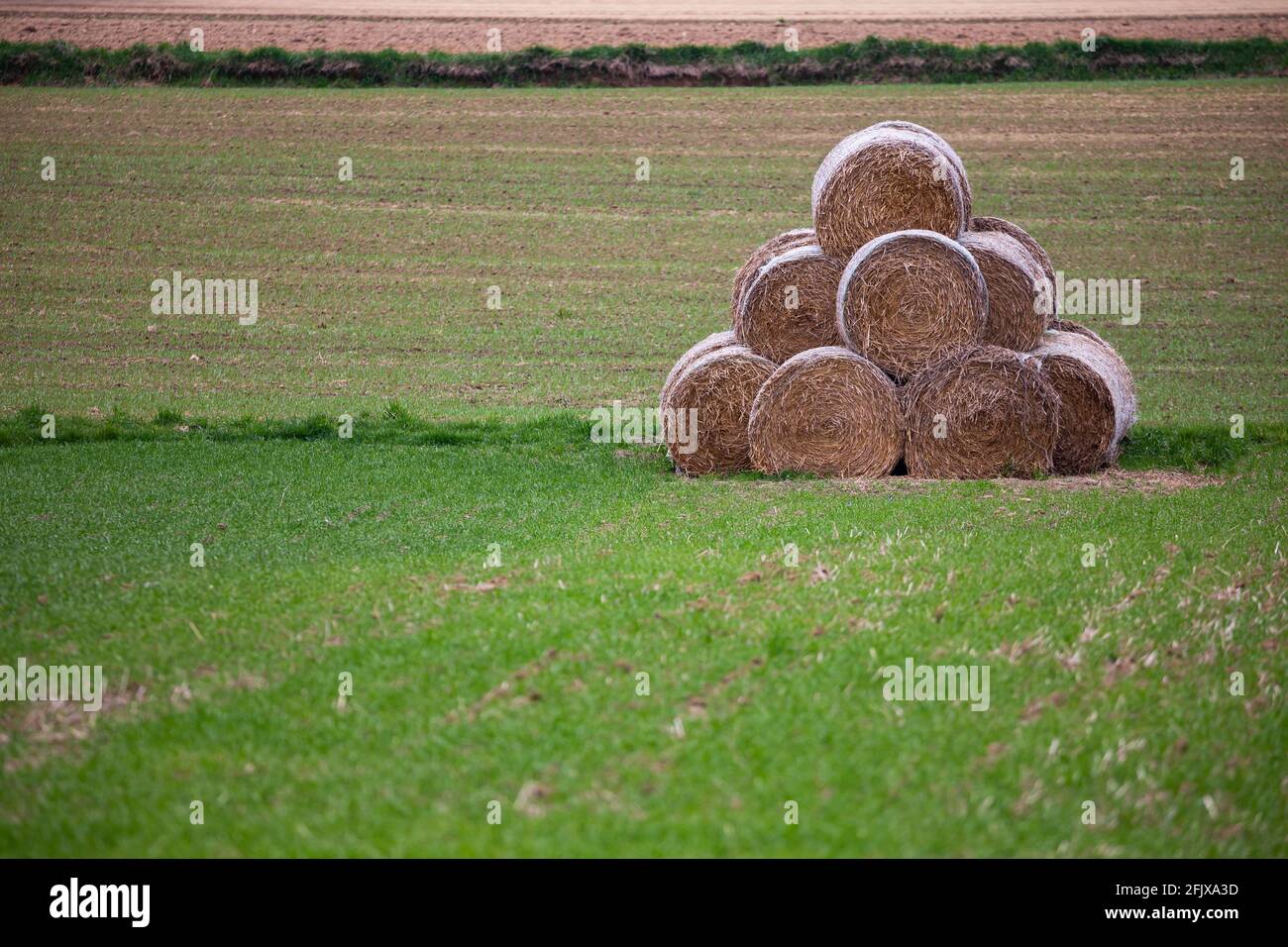 Mown hay hi-res stock photography and images - Alamy