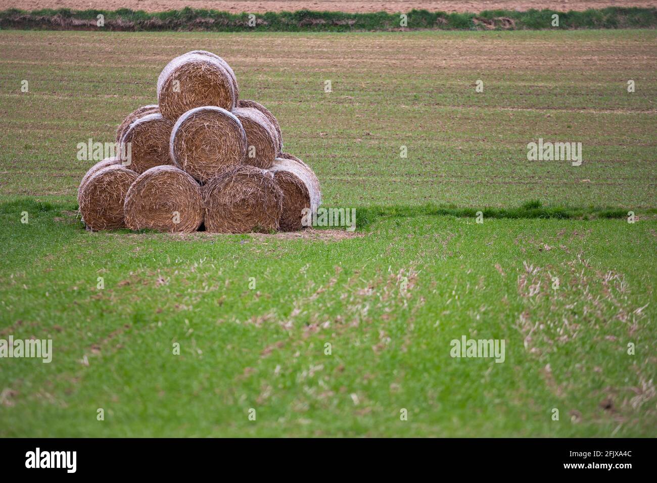 Stack of straw on the mown field hi-res stock photography and images ...