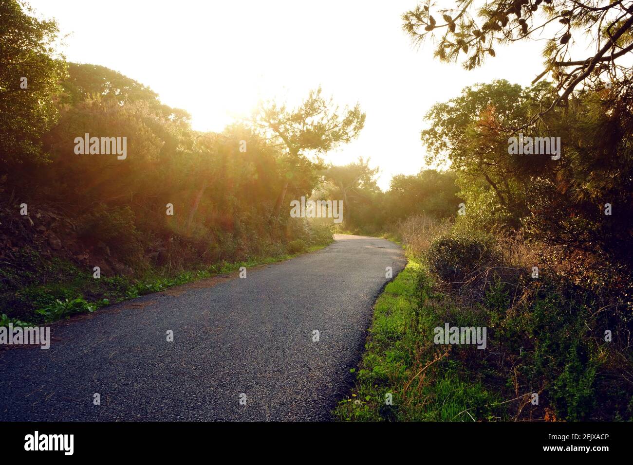 Morning true beauty hi-res stock photography and images - Alamy