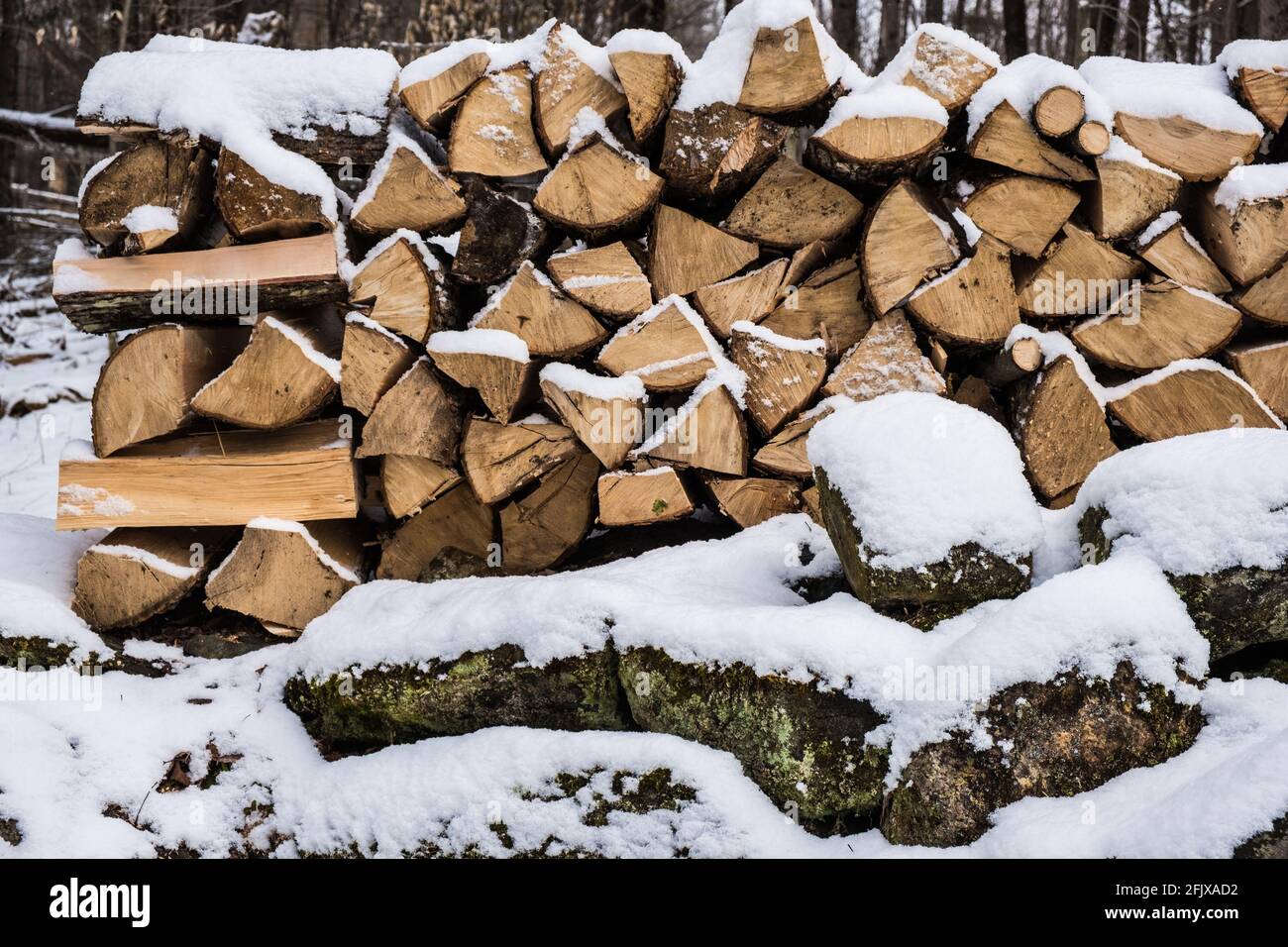Firewood stacked for drying hi-res stock photography and images - Alamy