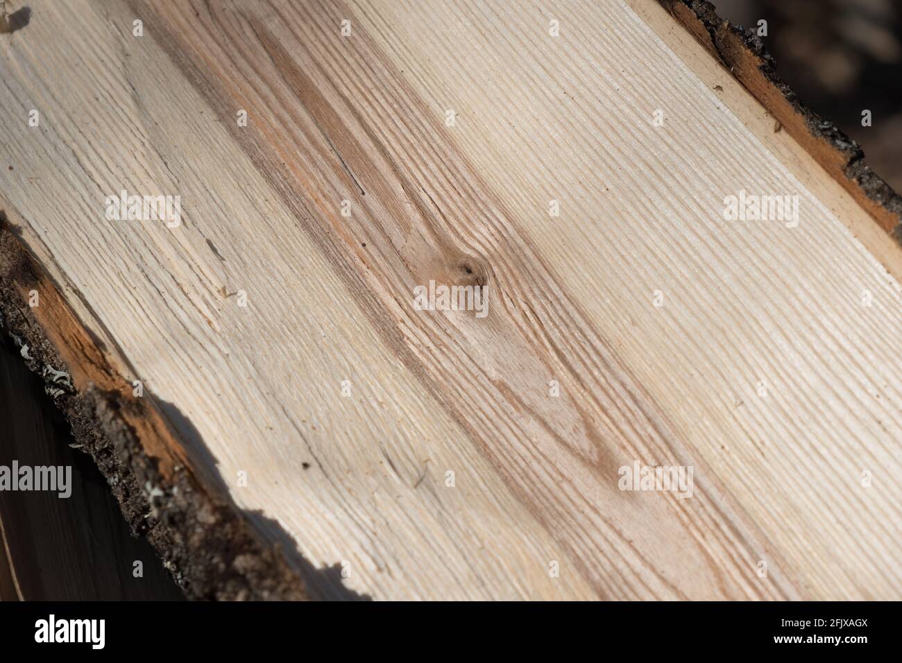 Ash Tree Wood Grain