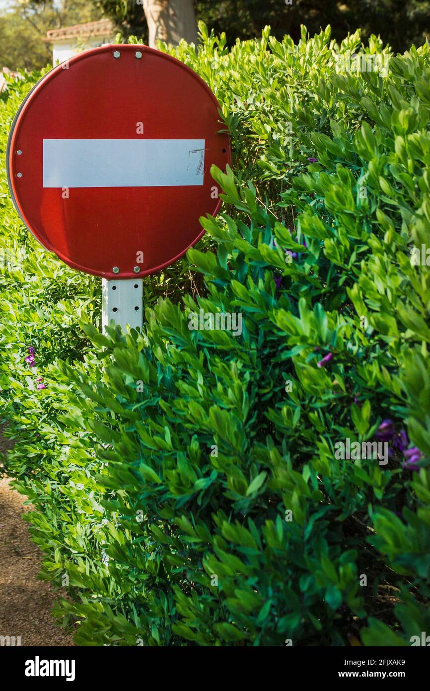 No entry or Do not enter traffic sign overgrown in green flowering ...