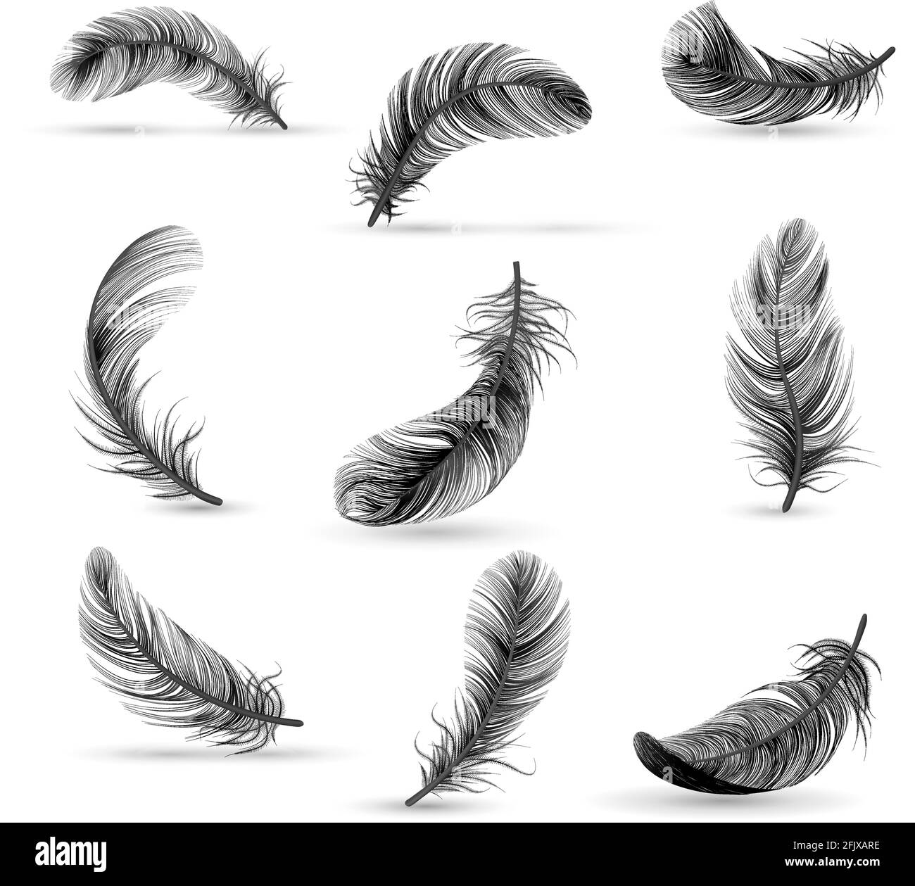 Isolated and realistic feather black icon set feather slowly falling ...