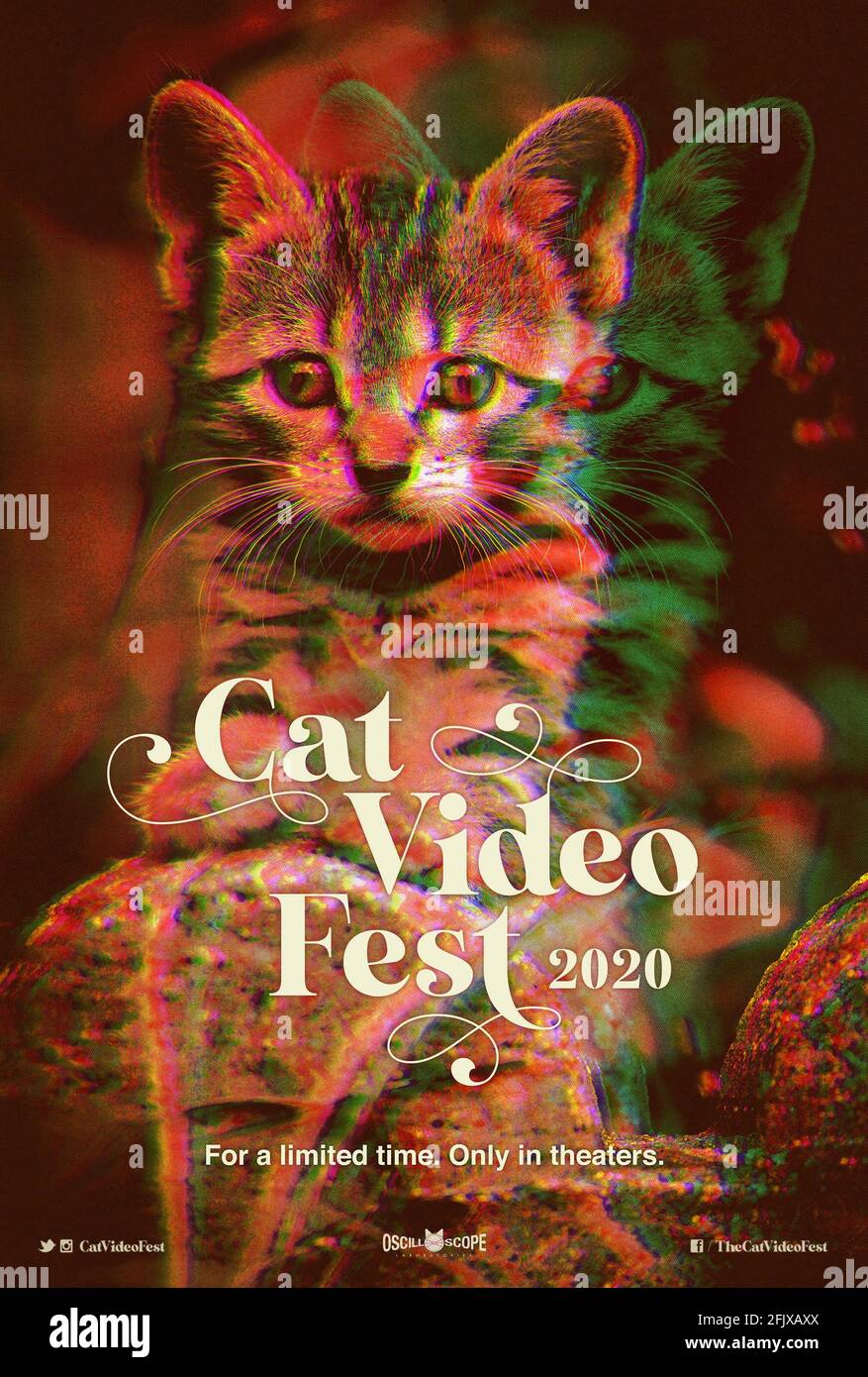 CATVIDEOFEST 2020, poster, 2020. © Oscilloscope / Courtesy Everett ...
