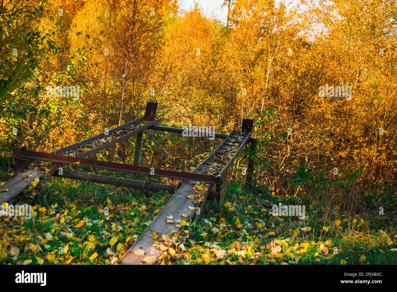 Original nature hi-res stock photography and images - Alamy