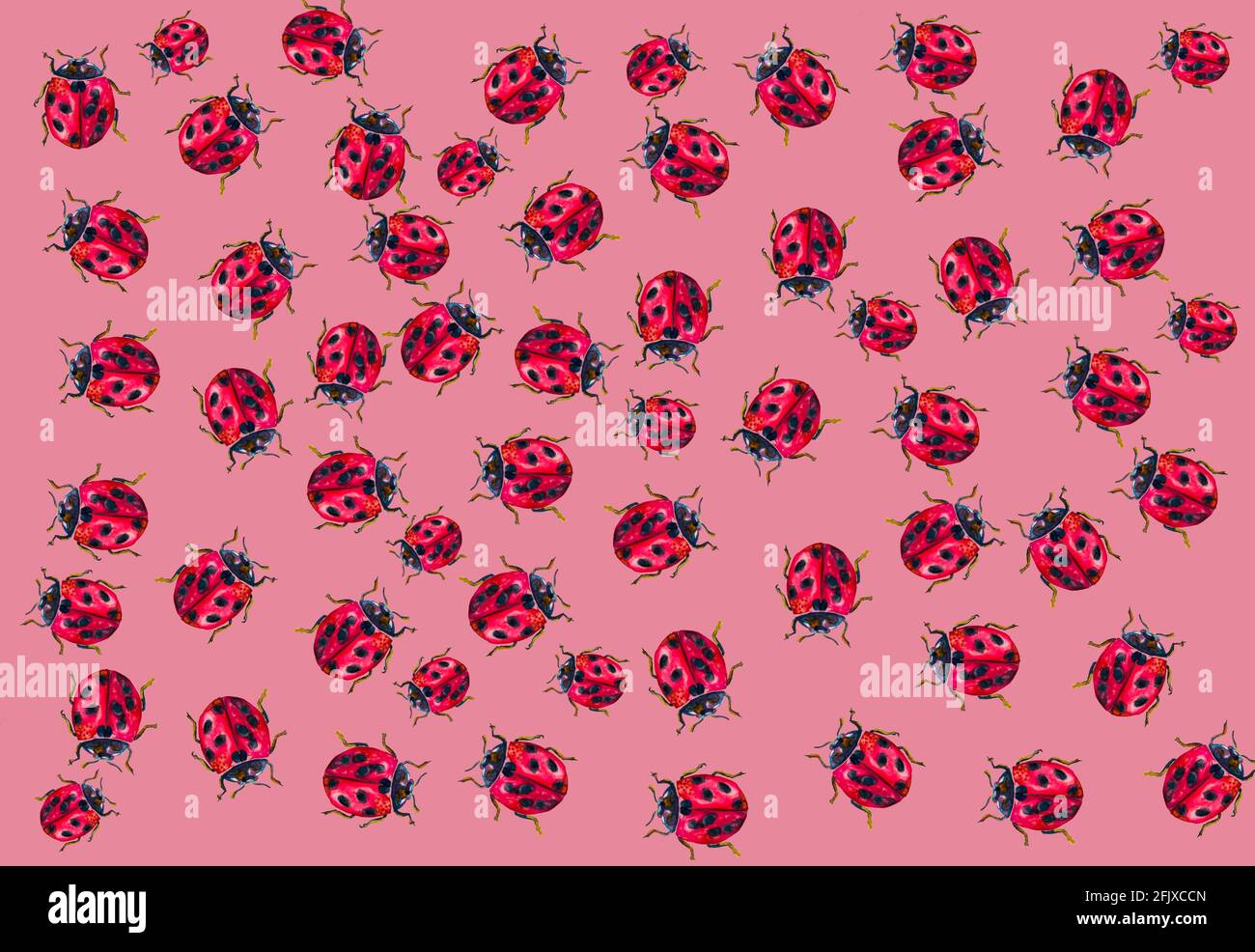 illustration of patterns of a ladybug for textiles or cards, insect ...