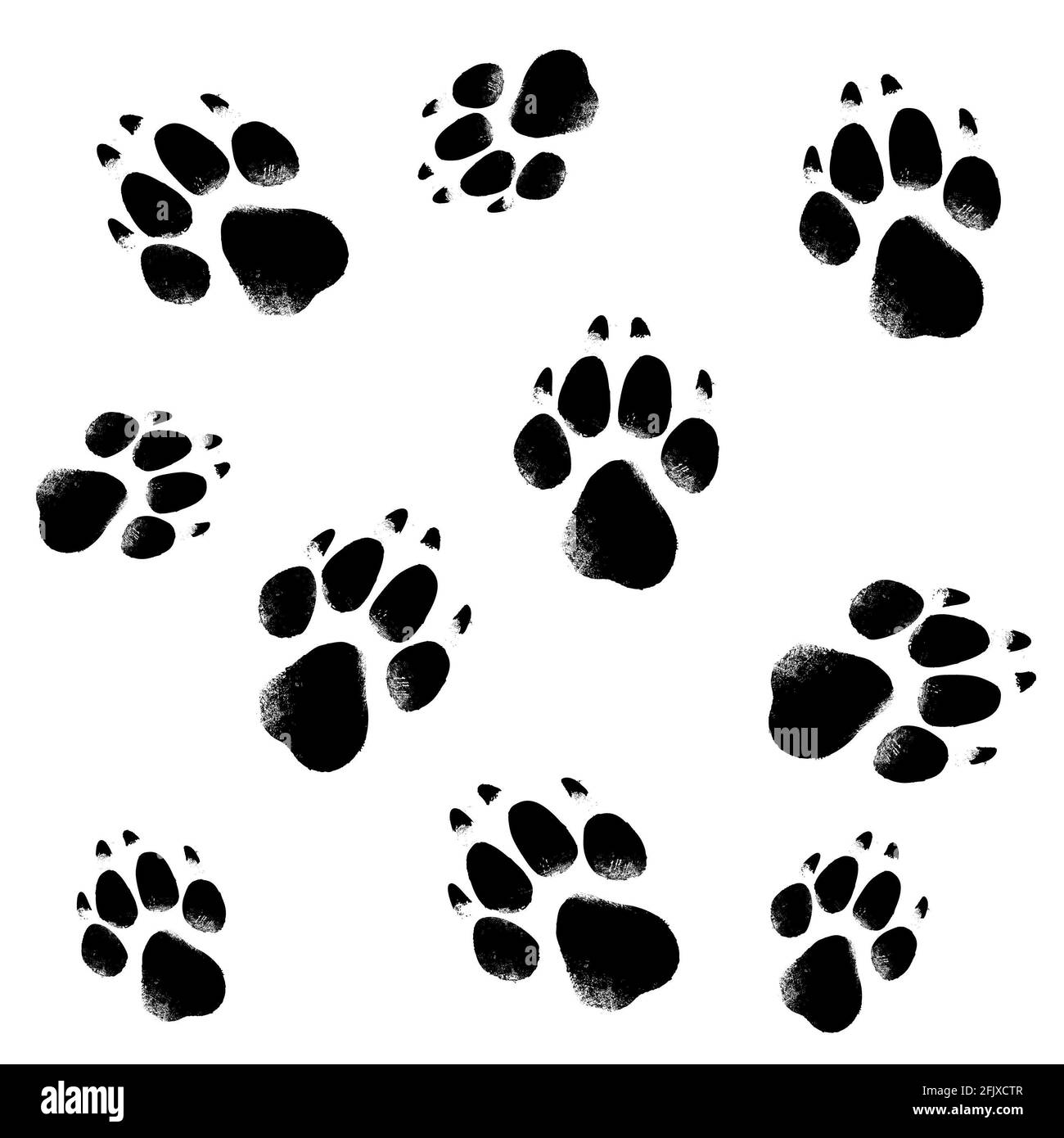 Black imprints of animal paw on the white background Stock Photo - Alamy