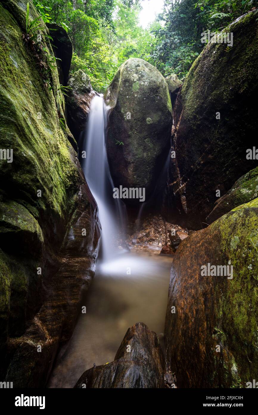 Beautiful rocky waterfall on green rainforest landscape in Tijuca Park ...