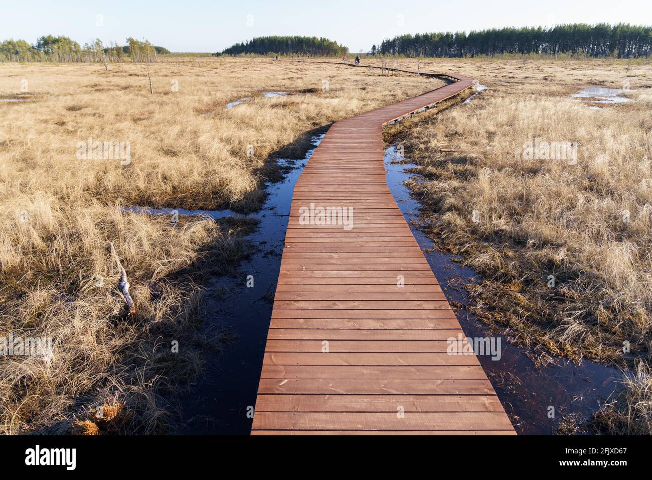 Ecological perspective hi-res stock photography and images - Alamy