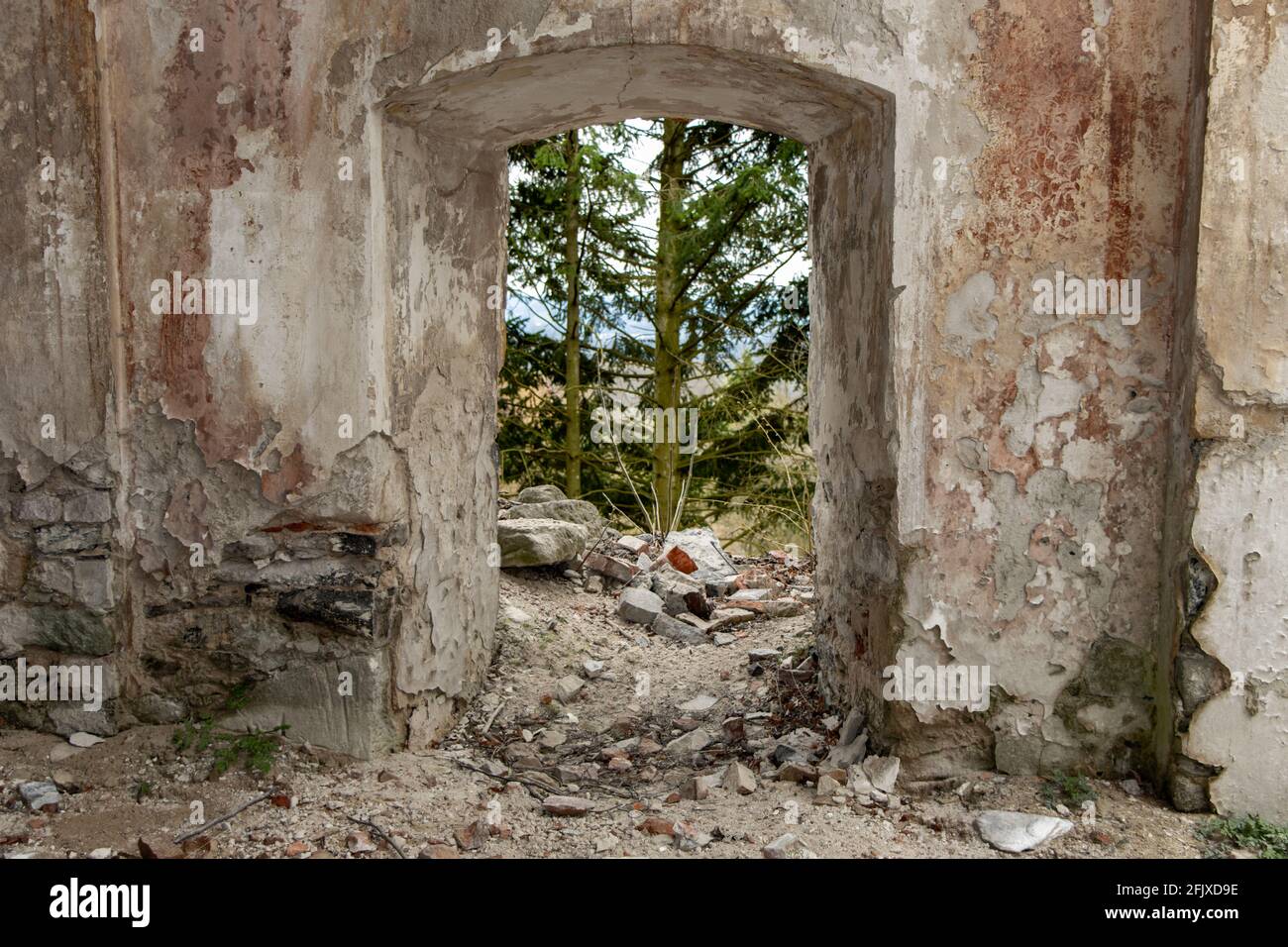 View through a holes for doors in an abandoned ruin in the woods Stock ...