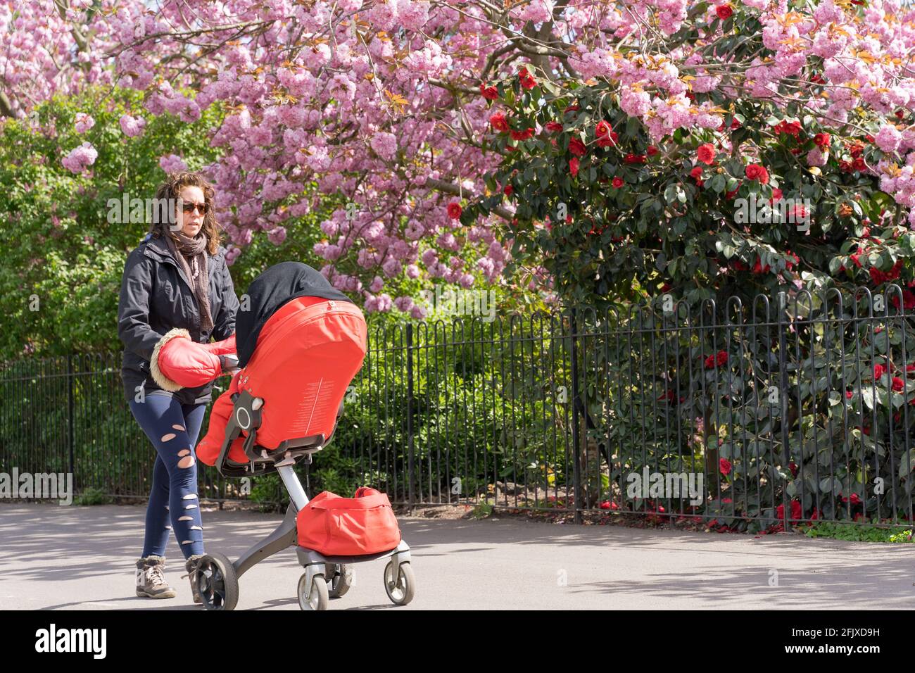 Woman pram hi-res stock photography and images - Alamy