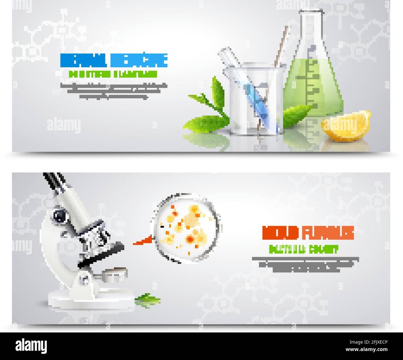 Mold fungus bacteria horizontal banners with realistic images of herbs ...
