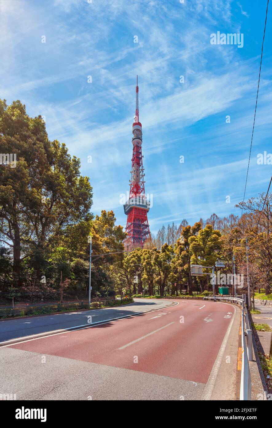 Road curve of the hakusan iwaida tamachi street lined by trees and ...