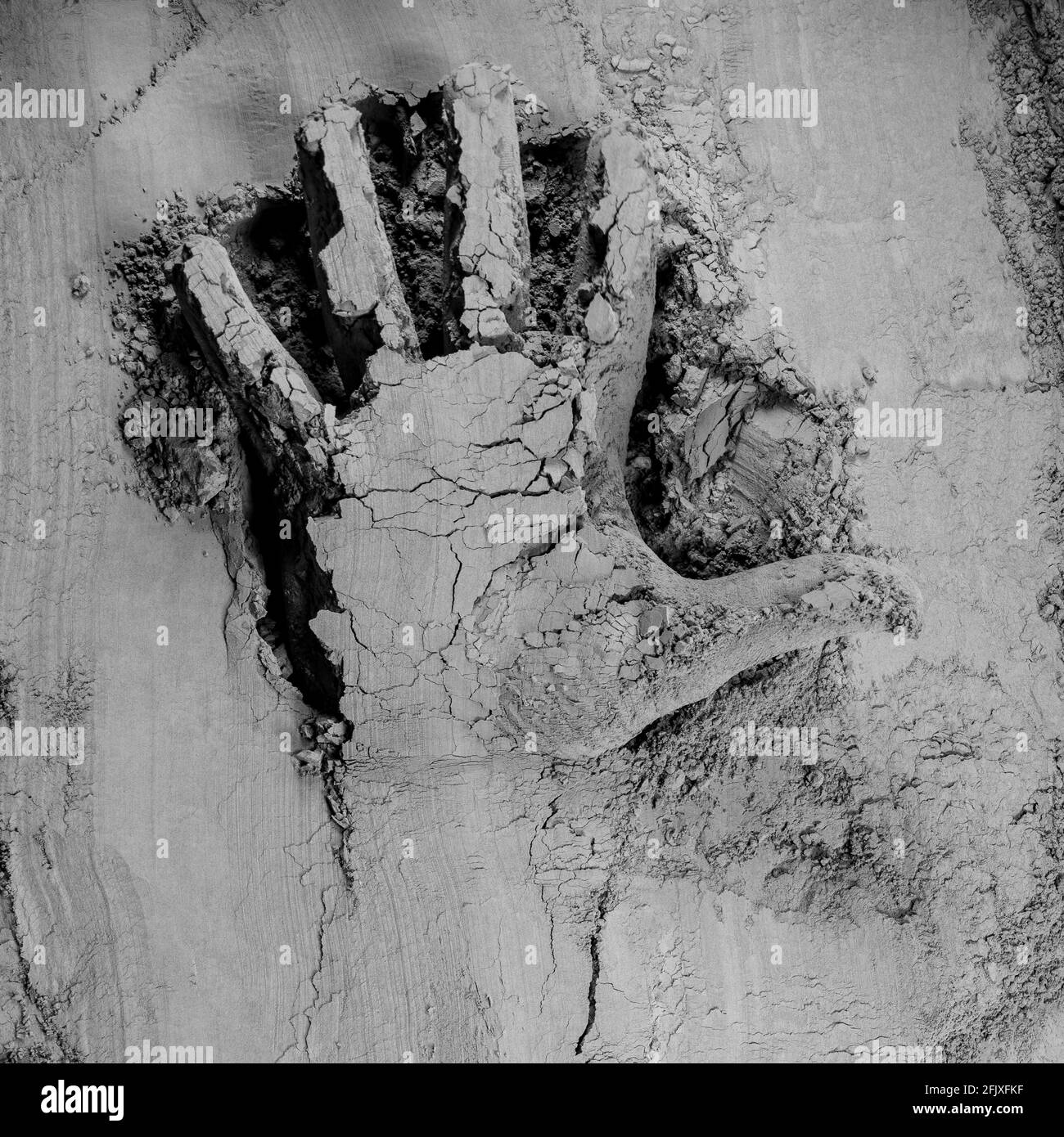 Human hand rising up and reaching from cement. Human power and Labor ...