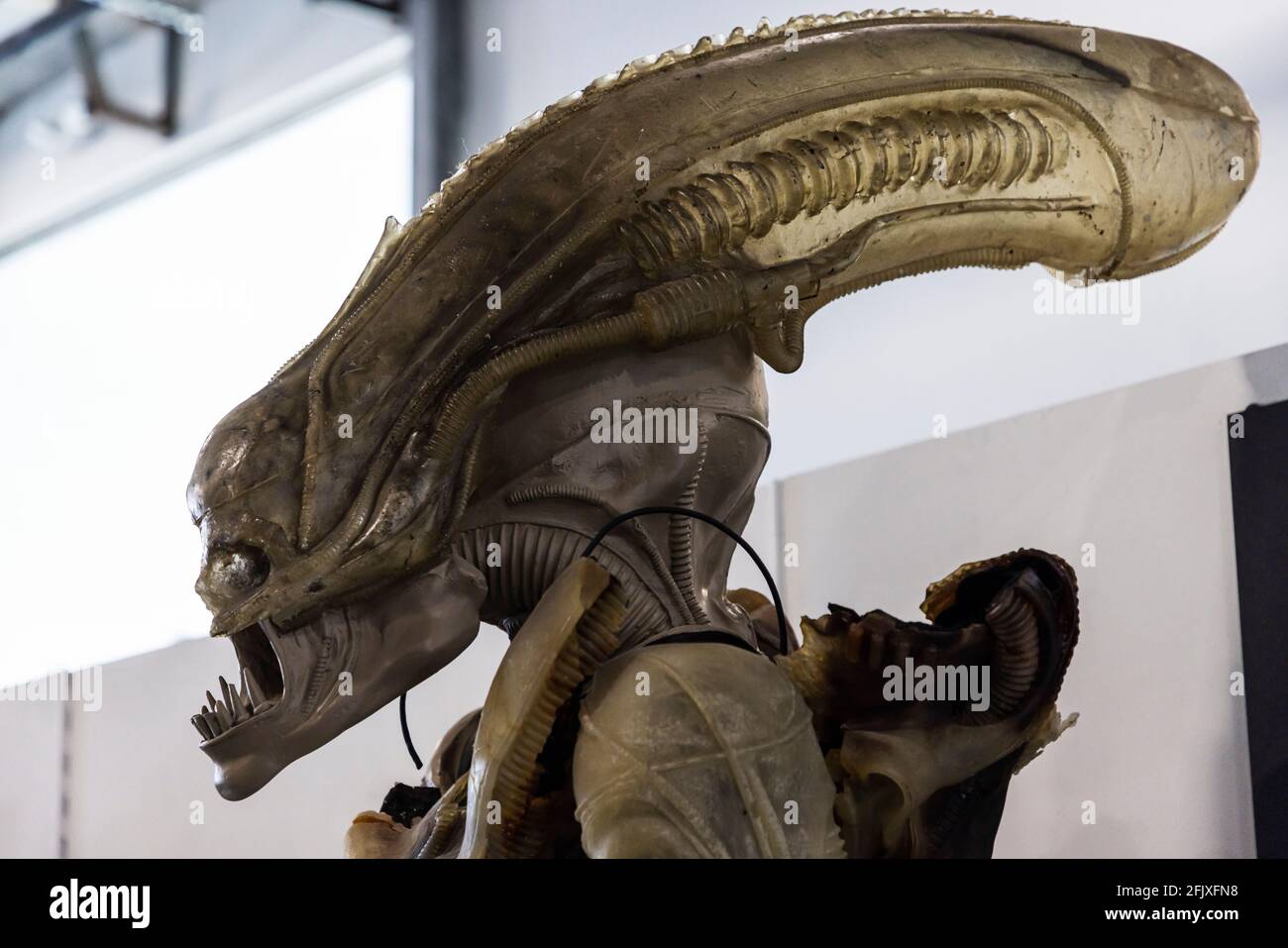 Original Xenomorph Design