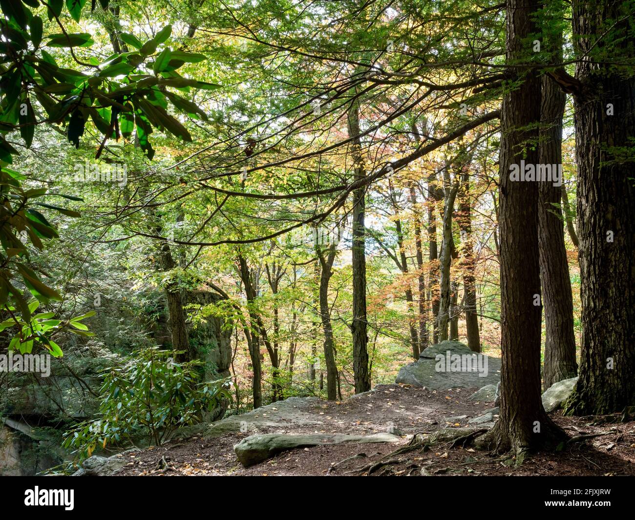 Coopers Rock State Forest in West Virginia in the Fall with the foliage ...