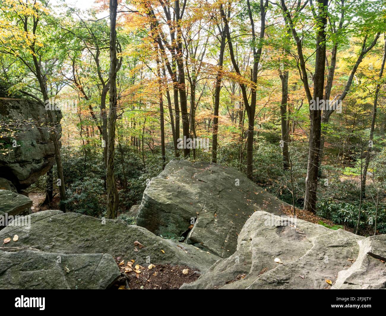 Coopers Rock State Forest in West Virginia in the Fall with the foliage ...