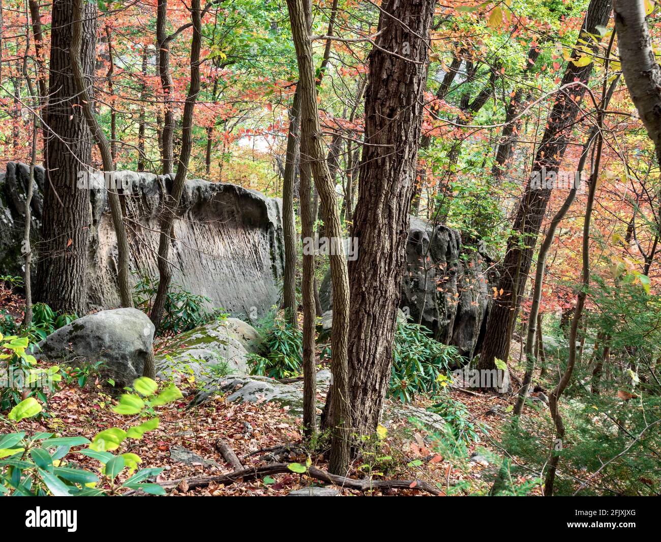 Coopers Rock State Forest in West Virginia in the Fall with the foliage ...