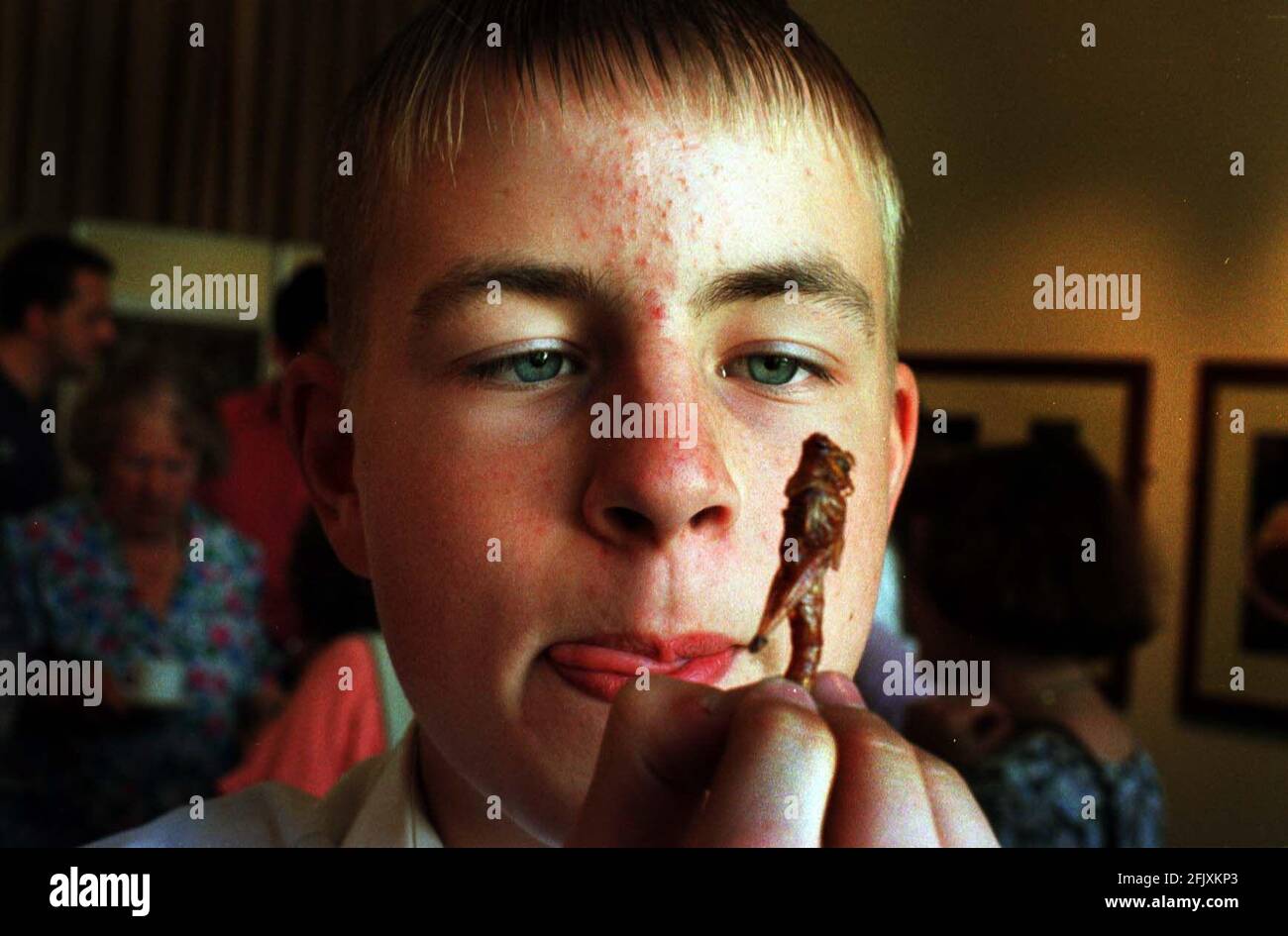 What is a locust hi-res stock photography and images - Alamy