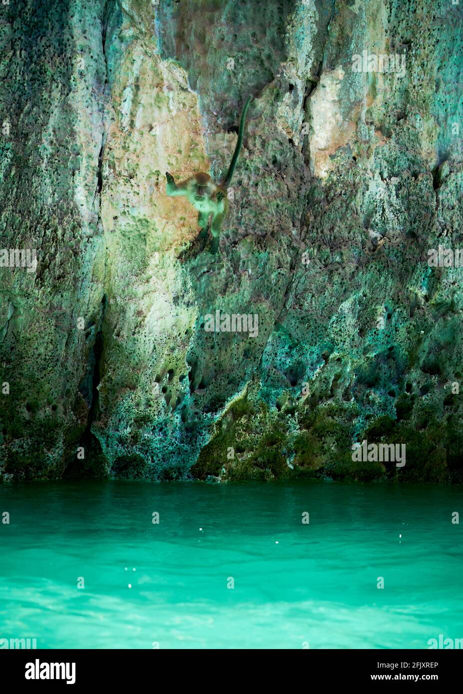 Jumping crab hi-res stock photography and images - Alamy