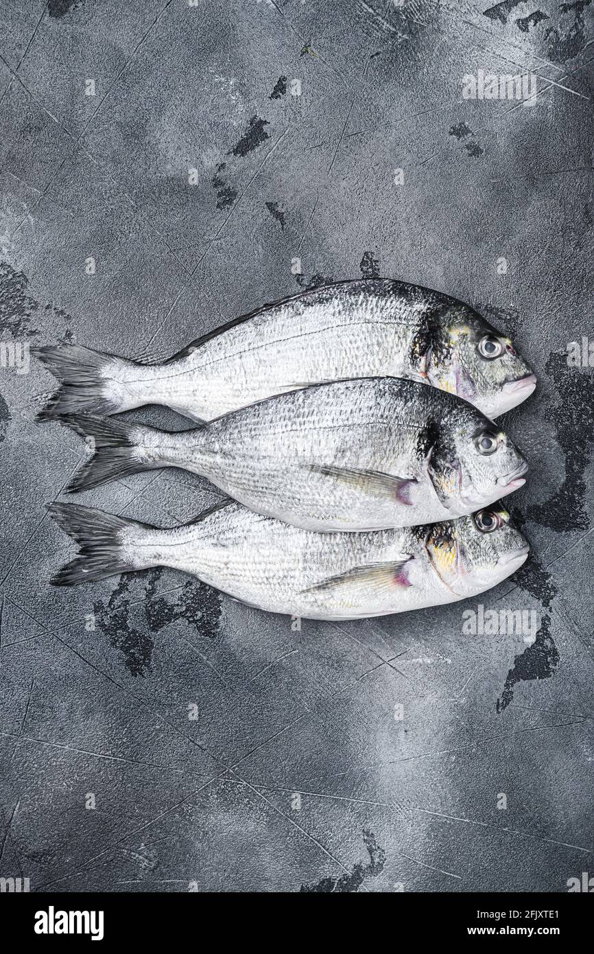 Raw three sea bream or Gilt head bream dorada fish on grey textured ...
