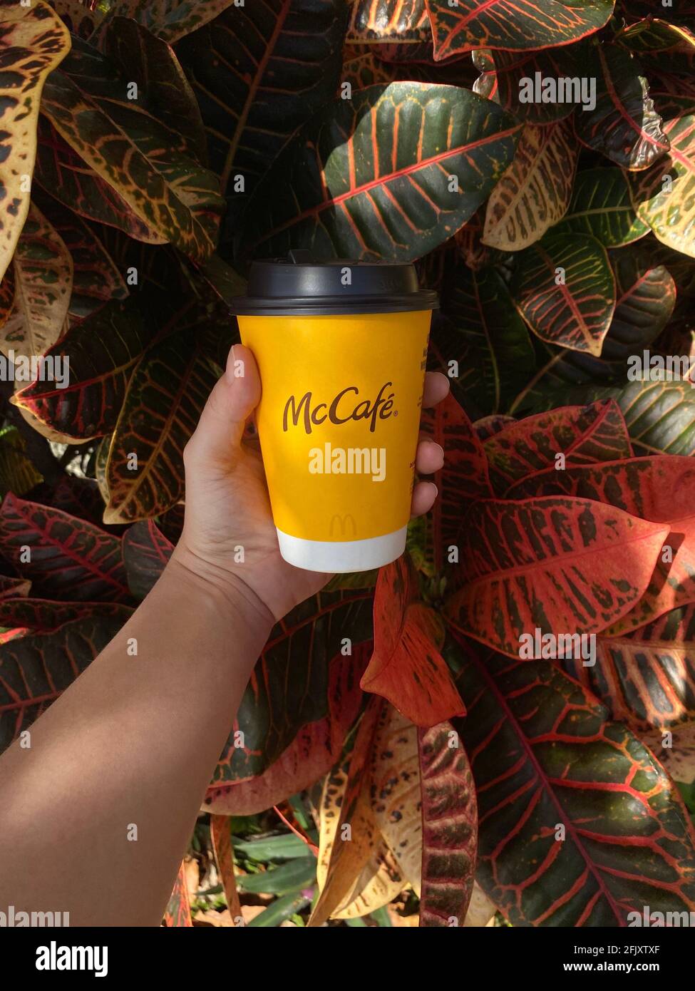 Mcdonalds mcdonald's mccafe coffee hi-res stock photography and images ...
