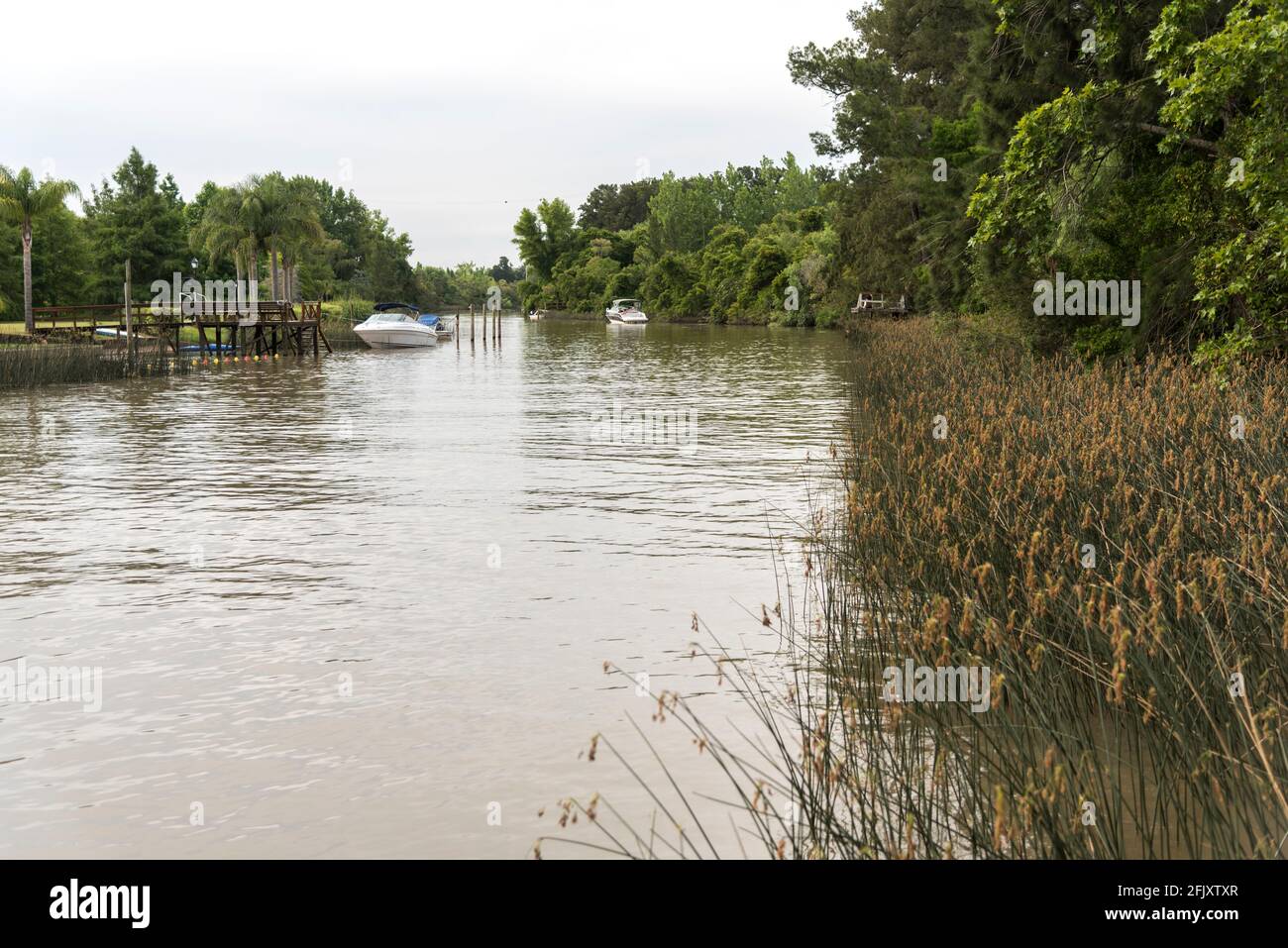 Stream in tigre delta hi-res stock photography and images - Alamy