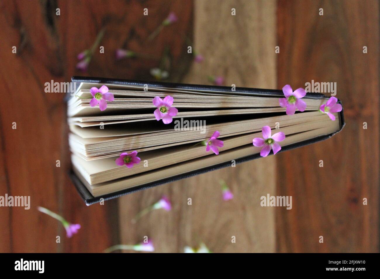 Turn table hi-res stock photography and images - Alamy