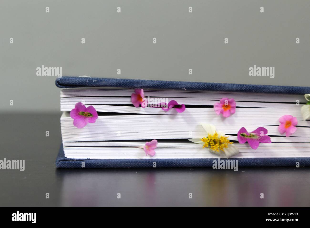Book with flowers between pages on a black surface table and a gray ...