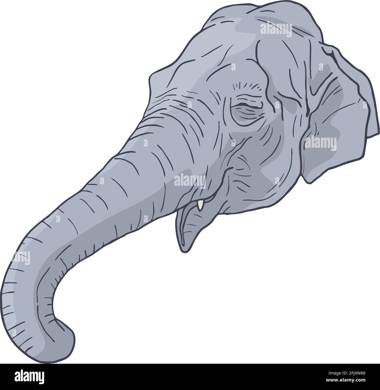 Elephant face vector hi-res stock photography and images - Alamy