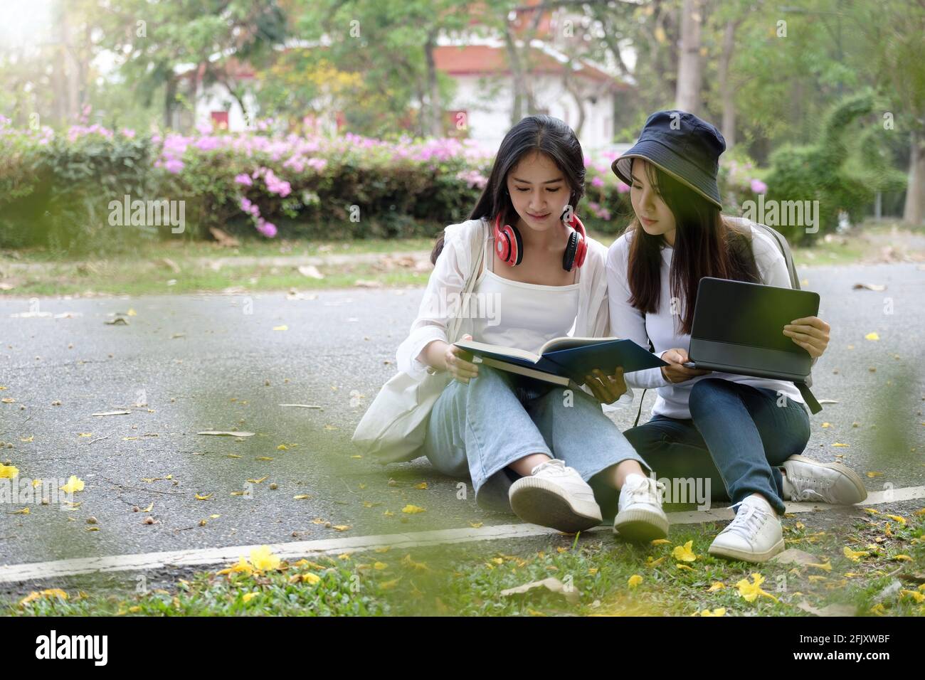 Two students studying together hi-res stock photography and images - Alamy
