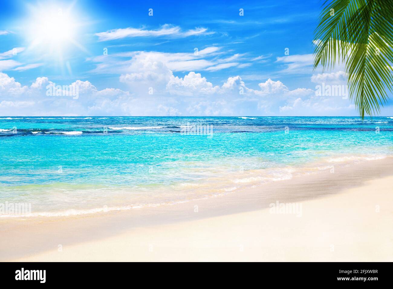 Beautiful Nature Beach