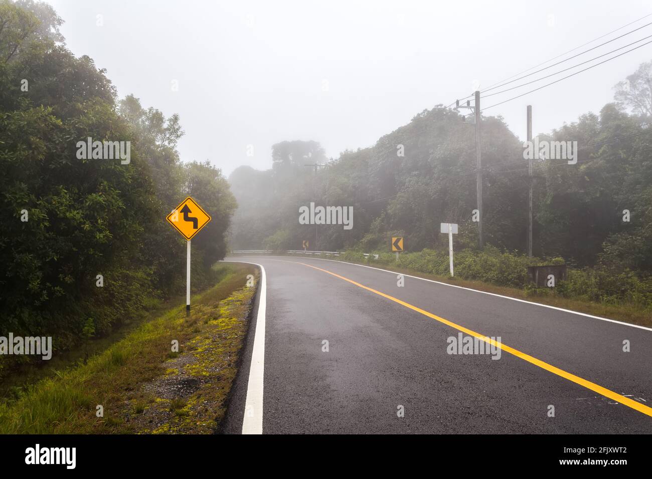 Windy forest road with a curve sign on a foggy day at Doi Inthanon ...