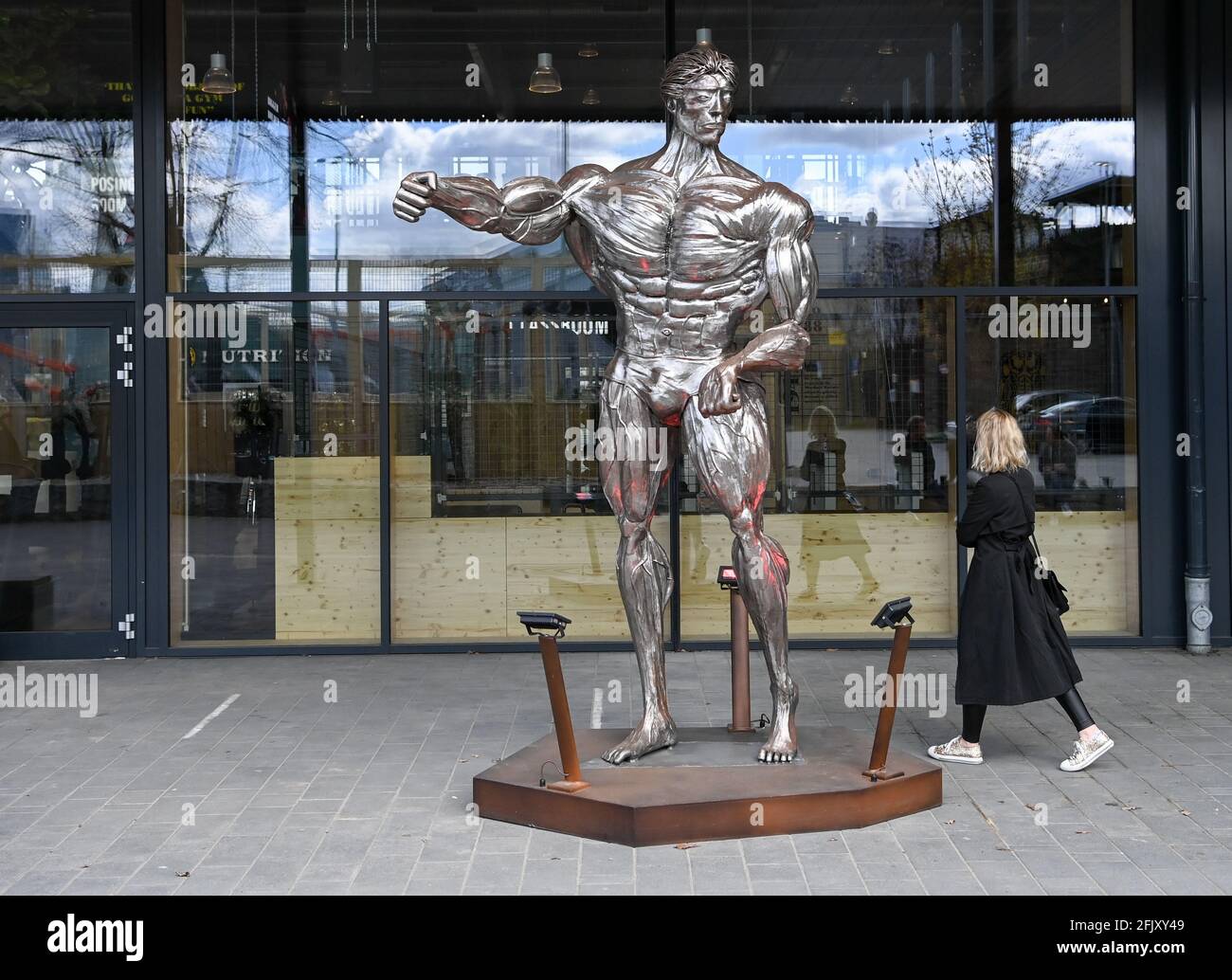 Golds gym muscles hi-res stock photography and images - Alamy