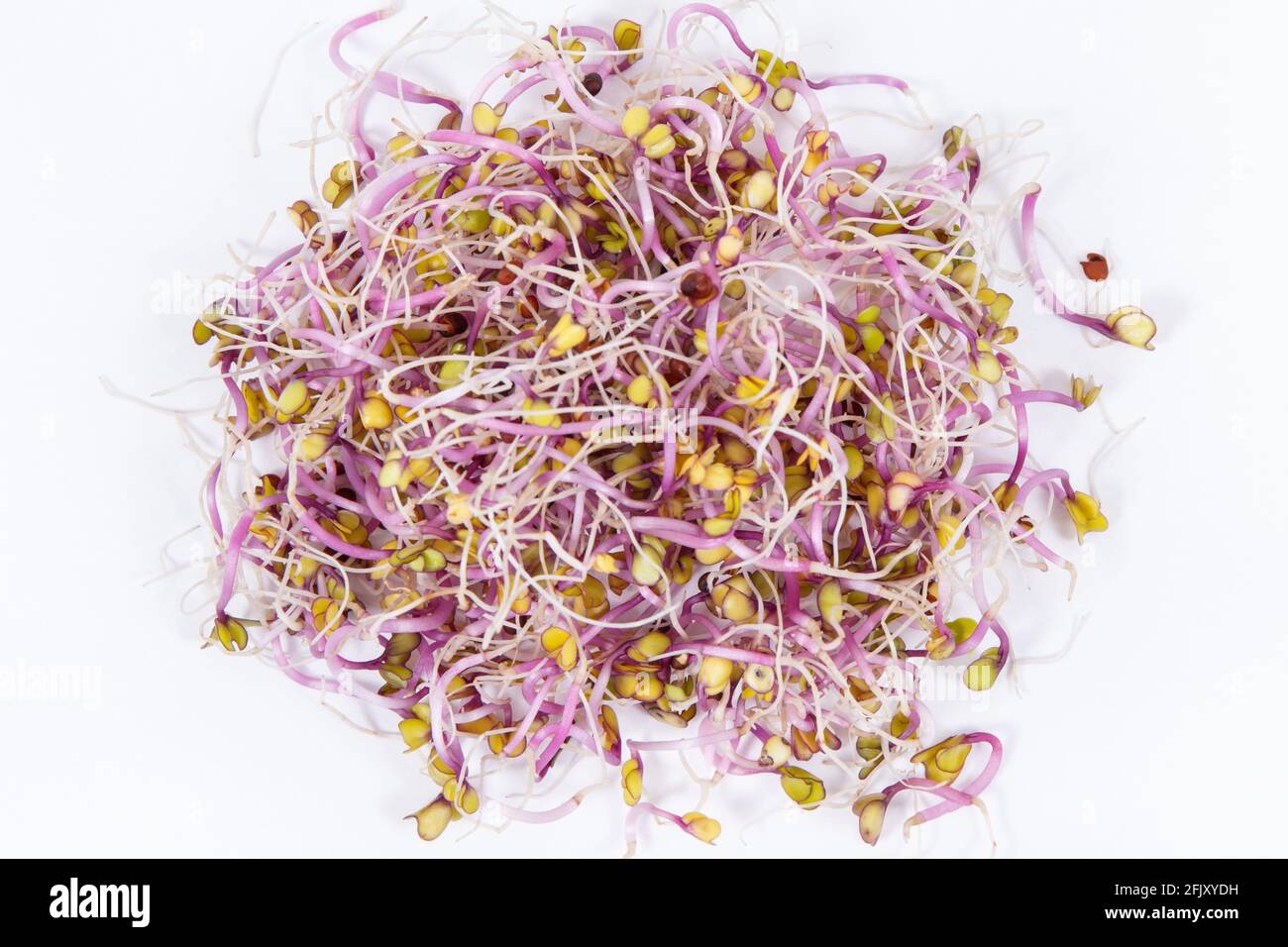 Healthy kale sprouts containing natural vitamins and minerals. White ...