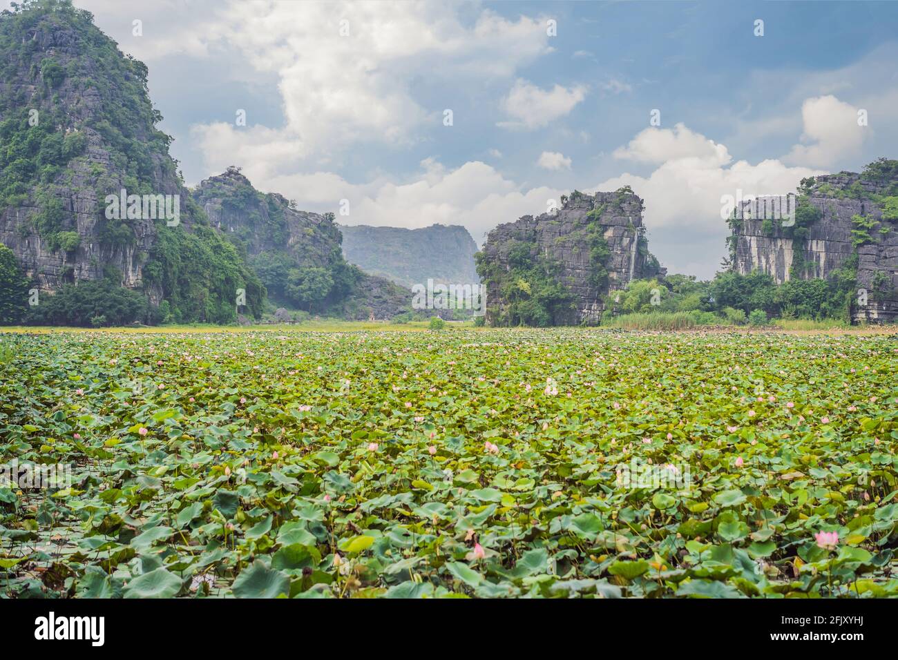 Human ponds hi-res stock photography and images - Alamy