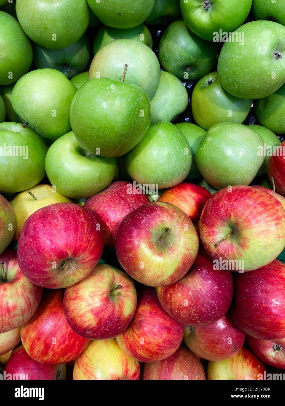 Colorful apples from garden hi-res stock photography and images - Alamy