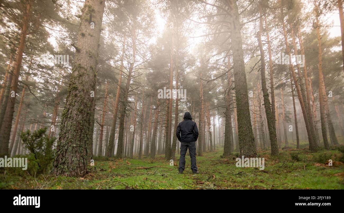 Lost Person In Woods