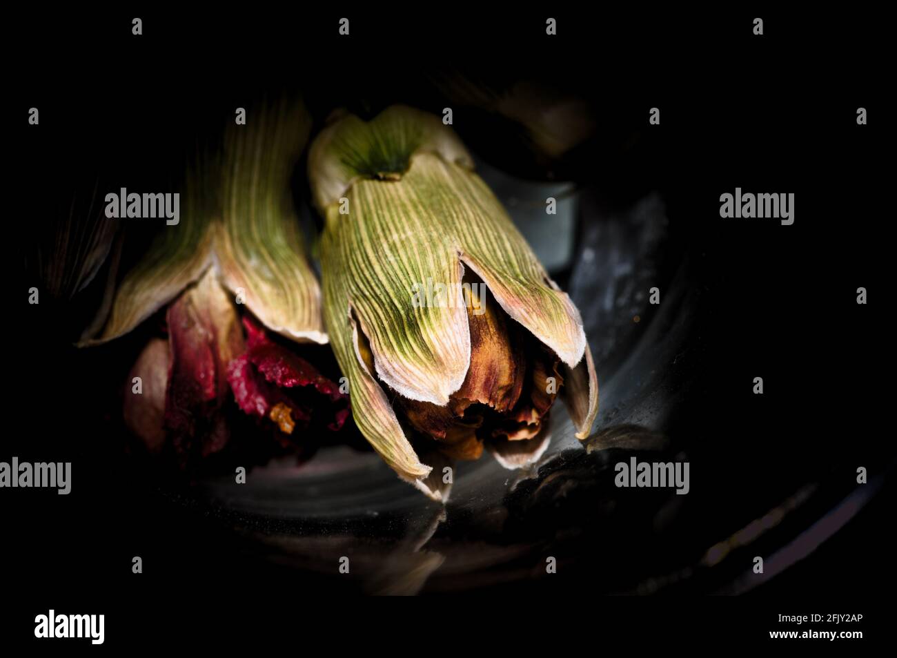 Withered stems hi-res stock photography and images - Alamy