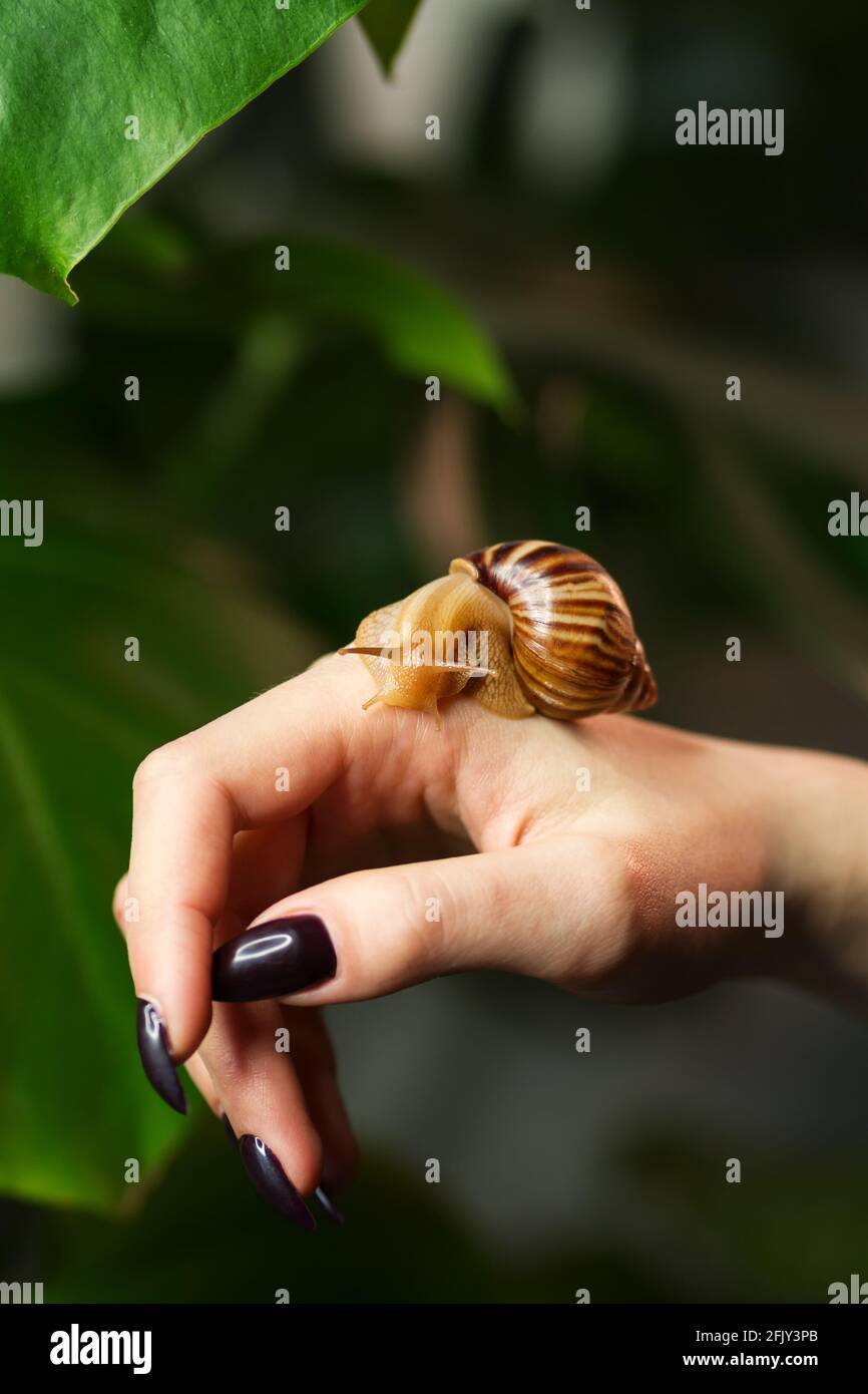 Human hand hold slime hi-res stock photography and images - Alamy